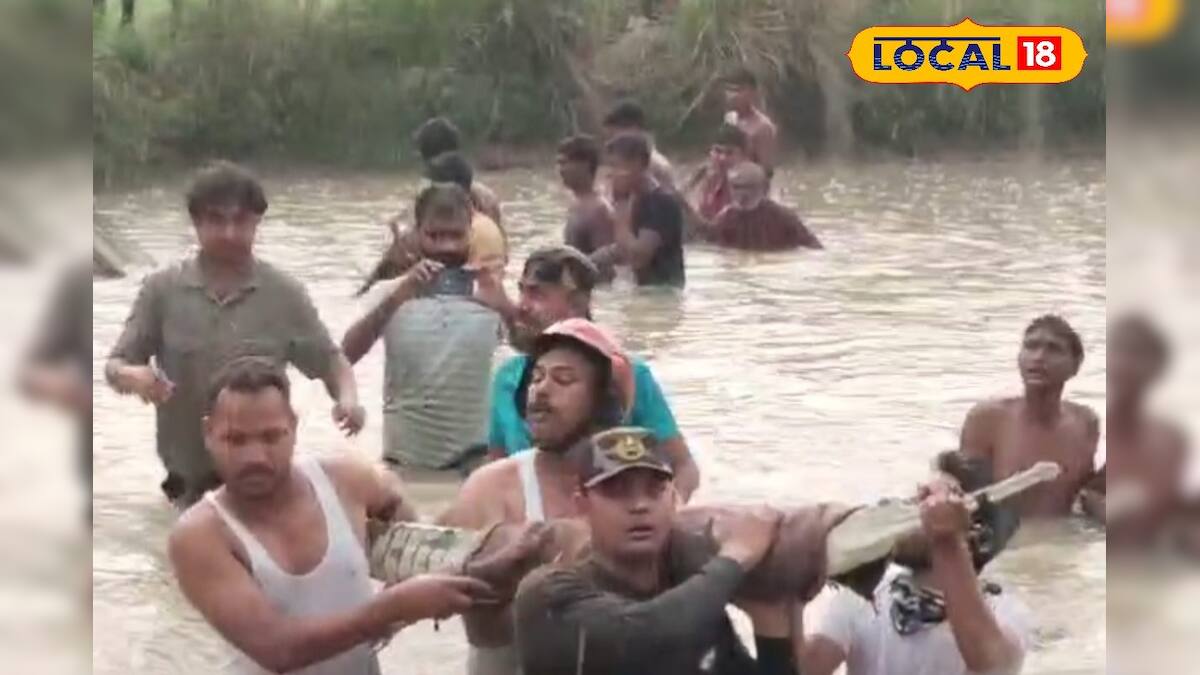 Bizzare News: জালে ধরা পড়েছে বিশাল মাছ! ডাঙায় টেনে তুলতেই আতঙ্কের চরম শিহরণ, ও মা গো এটা কী ...