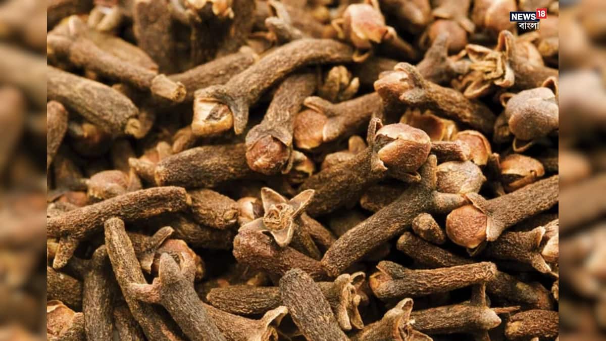 Labanga Money Tips: শুধু রান্না নয়, রান্নাঘরের এই জিনিস আপনার ঘর ...