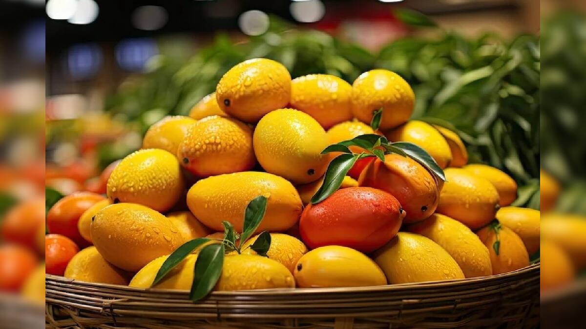 Mango Diabetes Myth: আম খেলে কি ডায়াবেটিস হয়? ব্যাপারটা সত্যি না মিথ ...