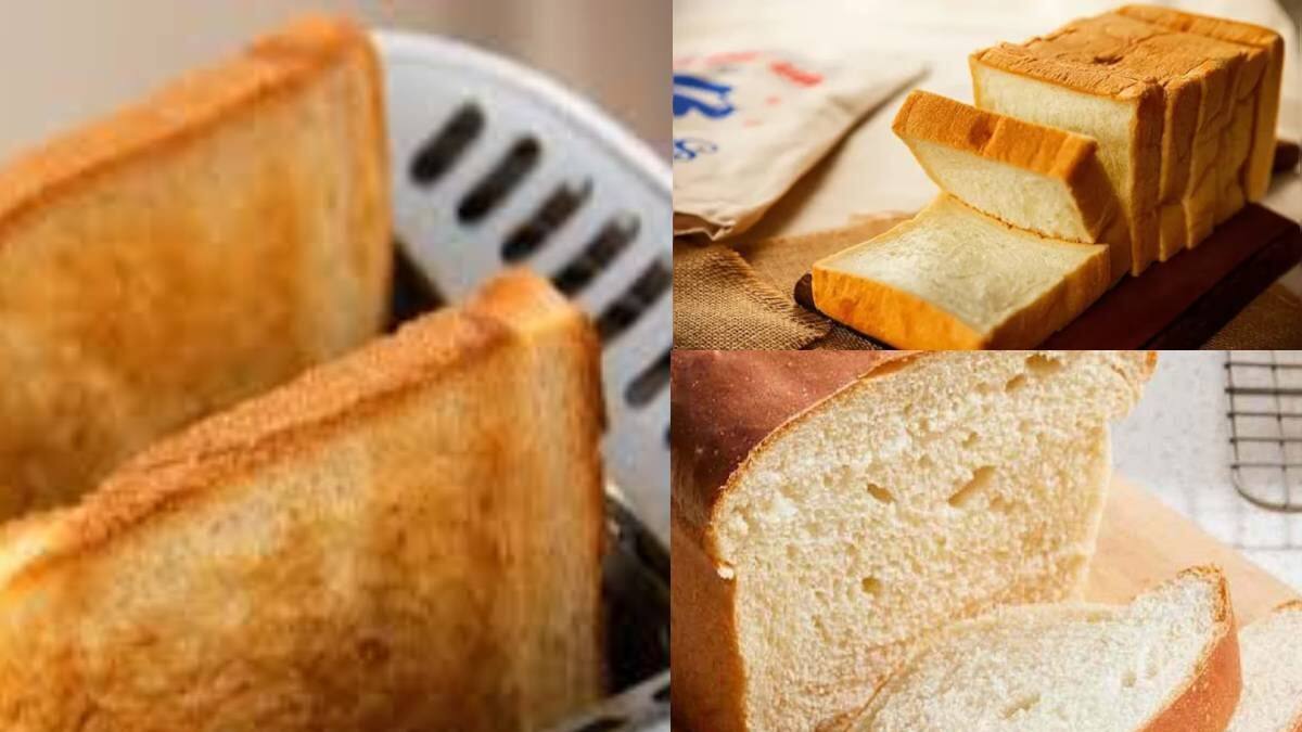 Raw Bread vs Toasted Bread: টোস্ট না করেই পাউরুটি খাওয়া ভয়ঙ্কর ...