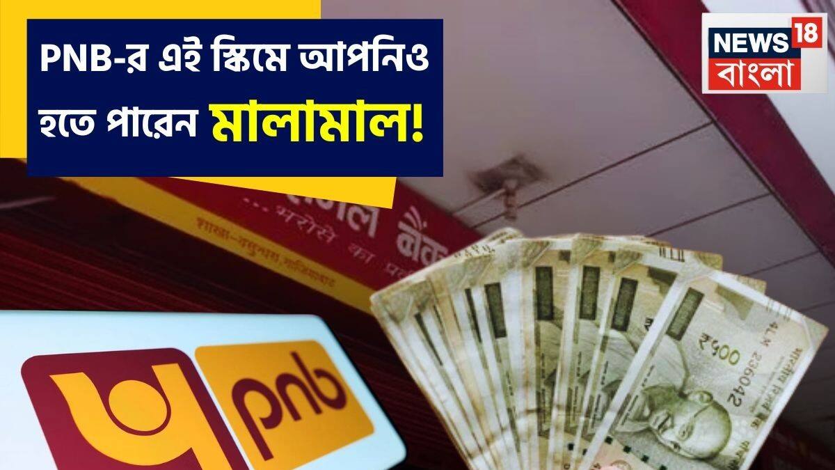 PNB Schemes: Invest a Small Amount in This PNB Scheme and Get a Big ...