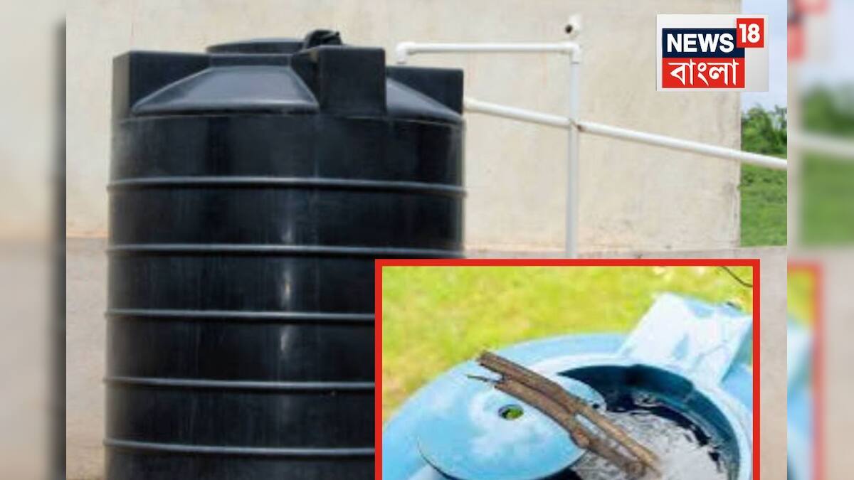 Water Tank Tricks: মাঝে মাঝেই জলে আঁশটে গন্ধ! ট্যাঙ্কে ফেলে রাখুন ছোট্ট ...