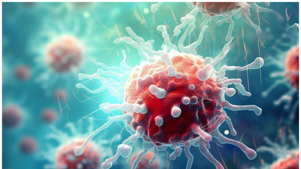 Blood Cancer Detection Test: ক্যানসার 'ক্যাচ' এবার আরও সহজ! অস্থিমজ্জা ...