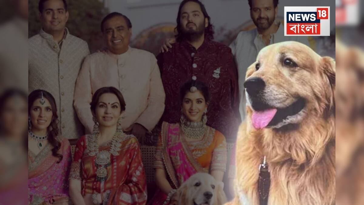 Anant Ambani's Pet Dog Happy Passes Away: তারাদের দেশে অনন্তের প্রিয় ...