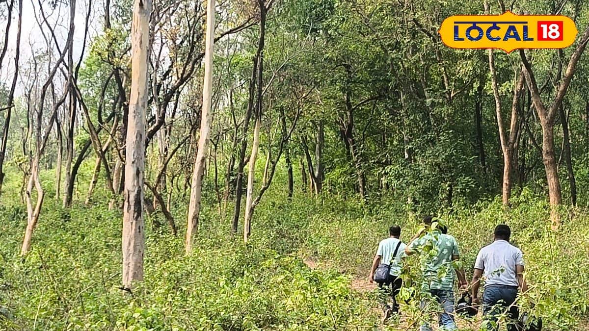 Mashak Hill: মিনি অজন্তা ইলোরা, রয়েছে গুপ্ত গুহাও! পেহেলগাঁও ক্যানসেলে ...
