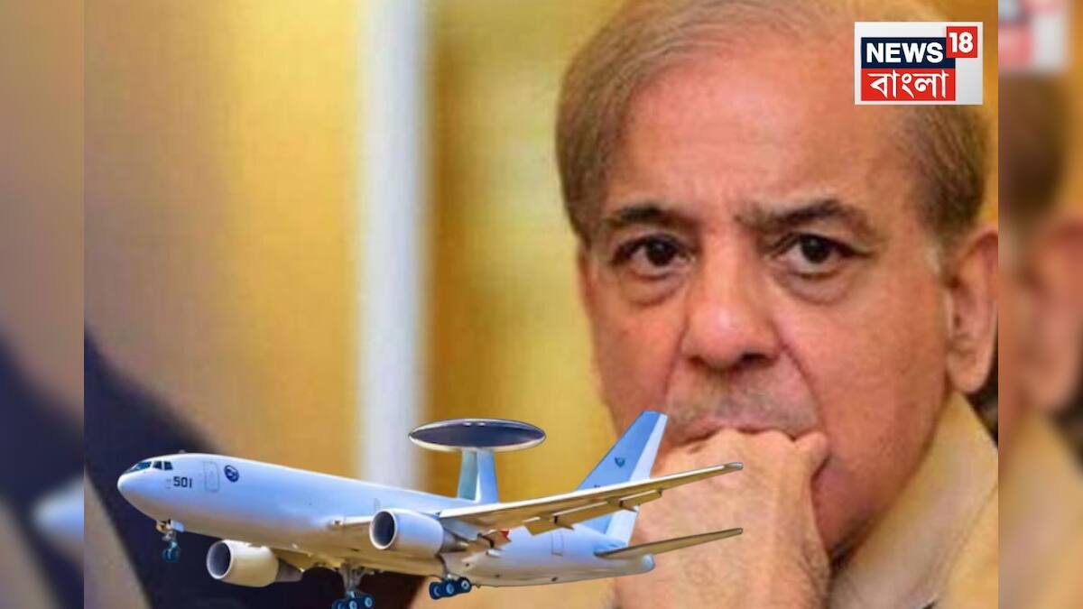 Indian Army Destroys Pakistan AWACS: আকাশে পাকিস্তানের চোখ ও কান ছিঁড়ে ...