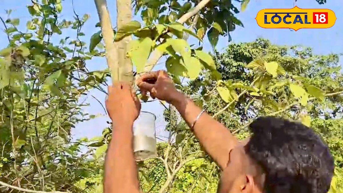 Drinking Water for Birds: তীব্র গরমে জল কষ্টে যেন না কাটে পাখিদের ...