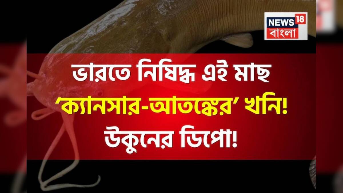 Cancer Caused by Banned Fish: ভারতে নিষিদ্ধ এই মাছ ‘ক্যানসারের কারখানা ...