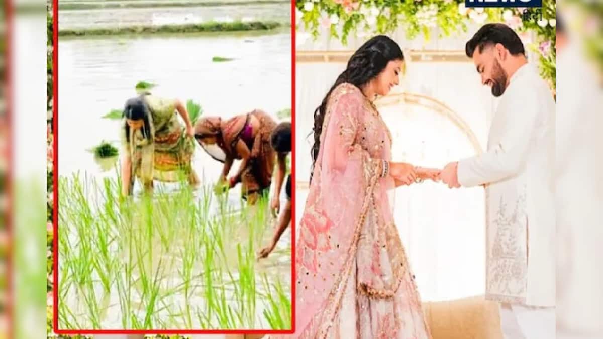 Viral Reels: স্বামী ক্রিকেট খেলে কোটি-কোটিপতি, স্ত্রী নিজে সাংসদ, হাঁটু পর্যন্ত সালোয়ারের ...