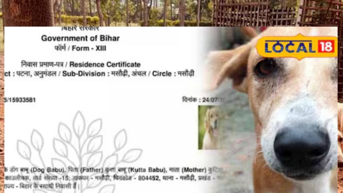 Dog Babu Viral News: বিহারে কুকুরের নামে রেসিডেন্স সার্টিফিকেট! বাবার ...
