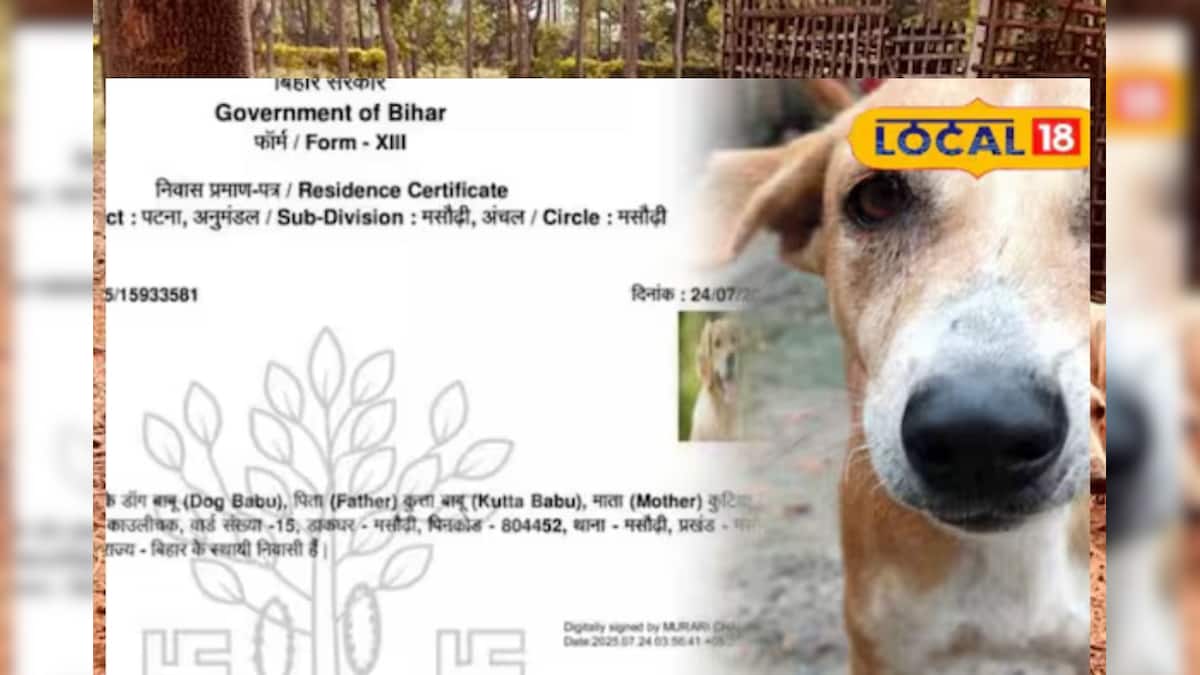 Dog Babu Viral News: বিহারে কুকুরের নামে রেসিডেন্স সার্টিফিকেট! বাবার ...