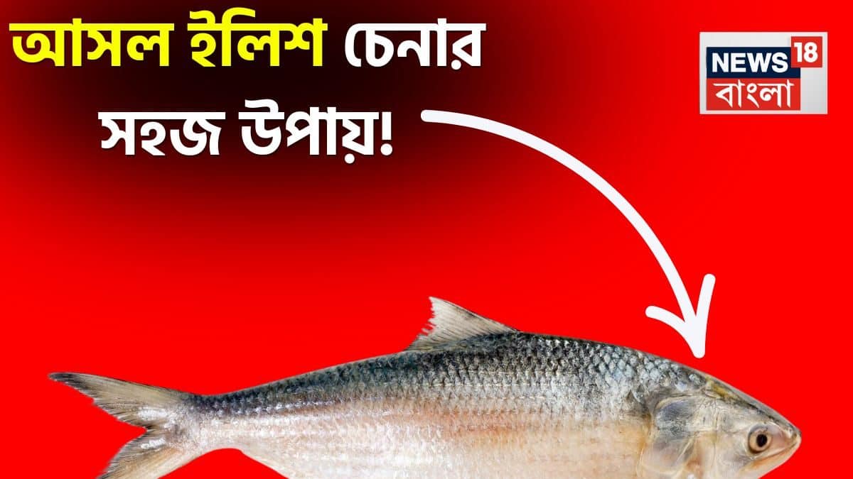 monsoon hacks common and easy Tips to identify original Ilish mach or ...