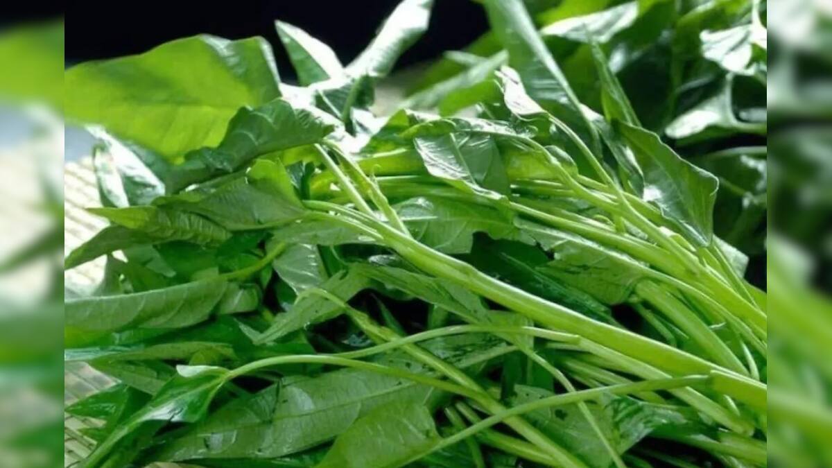Kalmi Saak Benefits: বর্ষায় আঁটি আঁটি খান ধন্বন্তরি এই 'শাক'...! হাড়ের যত্নে 'ওষুধ' সমান ...