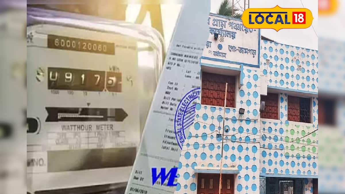 Solar Energy: বিদ্যুৎ বিলে ২৫ হাজার টাকা সাশ্রয়...! কীভাবে সম্ভব ...