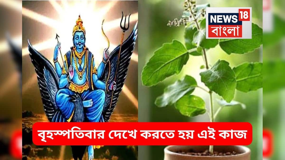 Shani Dev upay with Tulsi: তুলসী দিয়ে এই কাজ করলে, শনির দৃষ্টি দূরে থাকে...দূর হয় রাহু-কেতুর ...