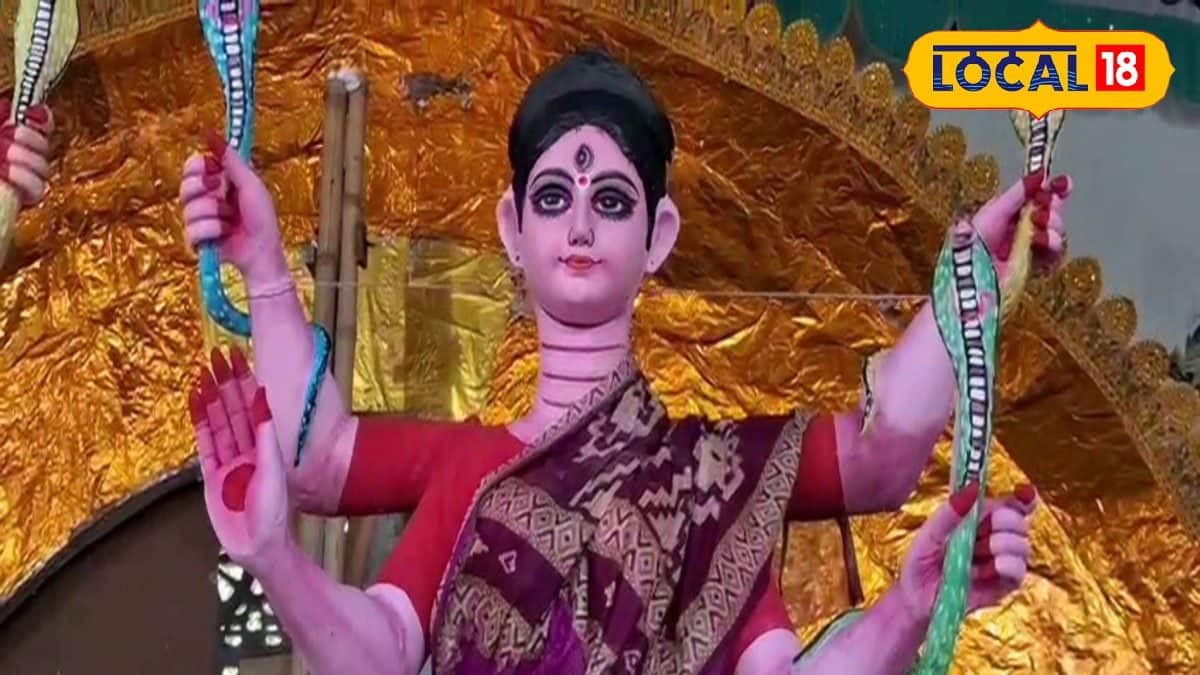 Manasa Puja 2025: মায়ের পুজোয় আমিষ ভোগ! এই রাজবাড়ির মনসা পুজো ঘিরে ...