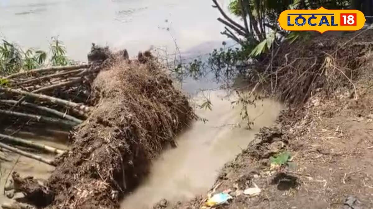 River Erosion: নদী ভাঙন শুরু রঘুনাথগঞ্জে আতঙ্কে গ্রামবাসীরা | লেটেস্ট ...