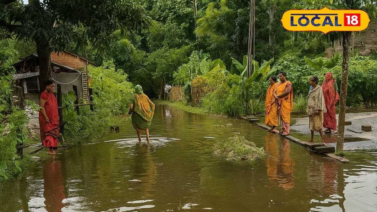Nadia News: নোংরা জলে থইথই চারপাশ, ঘুরে বেড়াচ্ছে বিষাক্ত পোকামাকড় ...