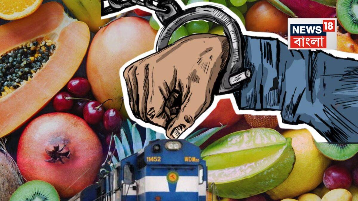 Fruit Banned In Train: কেটে নিলে অসুবিধা নেই, কিন্তু গোটা 'এই' ফল নিয়ে ...