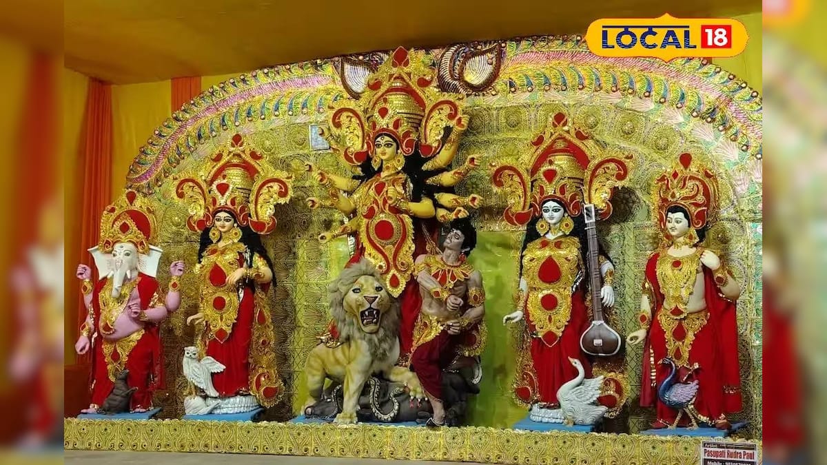 Sodepur Club: পুজোর আবহে বিশেষ কুপন, কেনা যাবে বই-খাতা থেকে জামাকাপড় ...