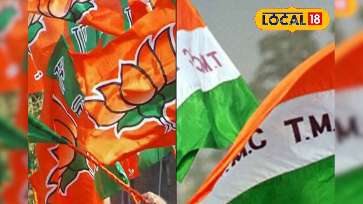 TMC and BJP: তৃণমূল-বিজেপির একে অপরকে 'চোর চোর' স্লোগান! ভাষা আন্দোলনের মঞ্চ ভাঙা ঘিরে পানাগড়ে ...