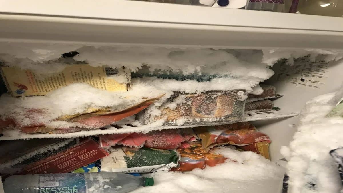 Fridge Tips: ফ্রিজের ফ্রিজারে পাহাড়ের মতো 'বরফ'...? চুটকিতে গলে যাবে ...