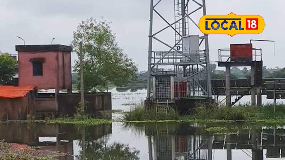 DVC Water Release: লাগাতার বৃষ্টি, জল ছাড়ছে DVC! জলমগ্ন চাষের জমি থেকে ...