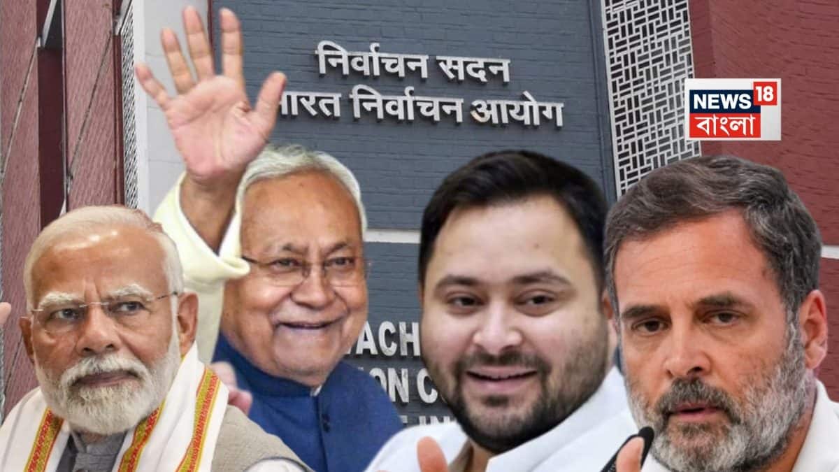 Bihar Assembly Election বিহারে ভোট লড়ার ছক কষে ফেলল এনডিএ, হয়ে গেল ...