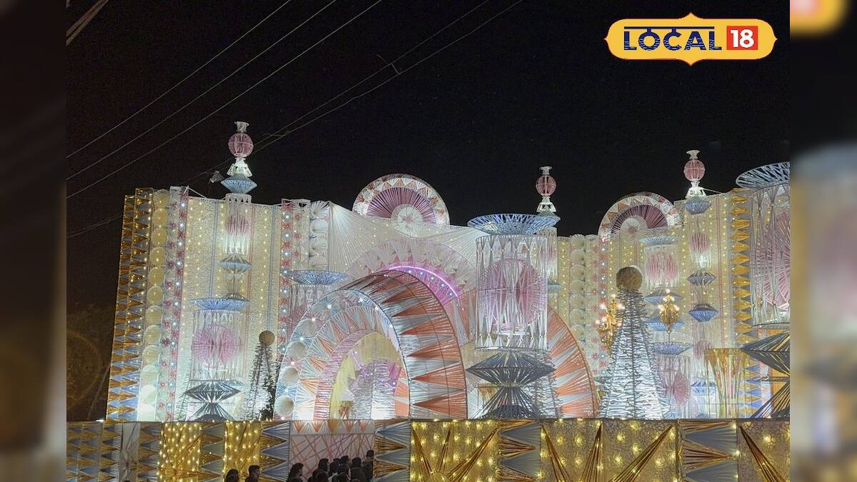 Durga Puja 2025: আলো আঁধারি পরিবেশে এক স্বপ্নময় আবহ! বর্ধমানের 'মায়াজালে' মন্ত্রমুগ্ধ আট থেকে ...
