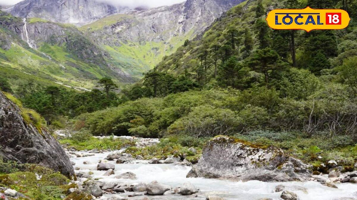 Dooars Tourism: ডুয়ার্সের টিকিট-হোমস্টে বুক হয়ে রয়েছে? কোথায় ঘুরবেন ...