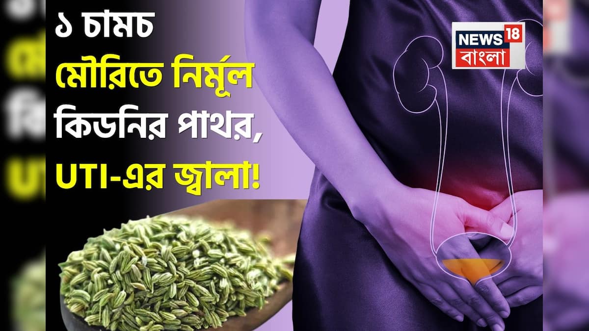 Mouri to cure Kidney Stone & UTI : শুষে নেয় নোংরা বিষাক্ত জিনিস ...