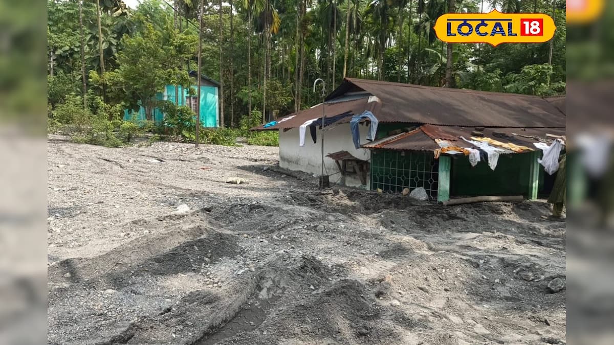 Flood After Effect : বিপর্যয়ের পরে গ্রামে শ্মশানের নিস্তব্ধতা! পলি ...