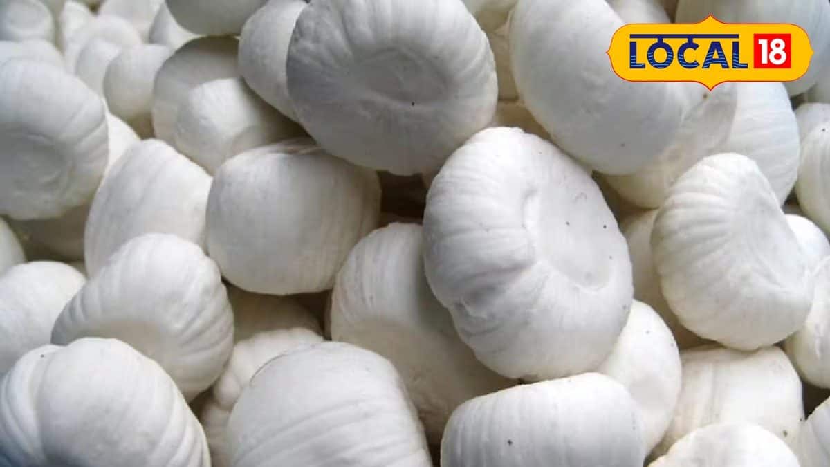 Kadma Sweet : এই বিশেষ মিষ্টি না থাকলে, লক্ষ টাকার নৈবেদ্যেও খুশি হন না ...
