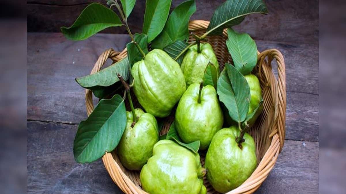 Guava: খোসা-সহ না কি খোসা ছাড়া, পেয়ারা কী ভাবে খেলে বেশি উপকার ...
