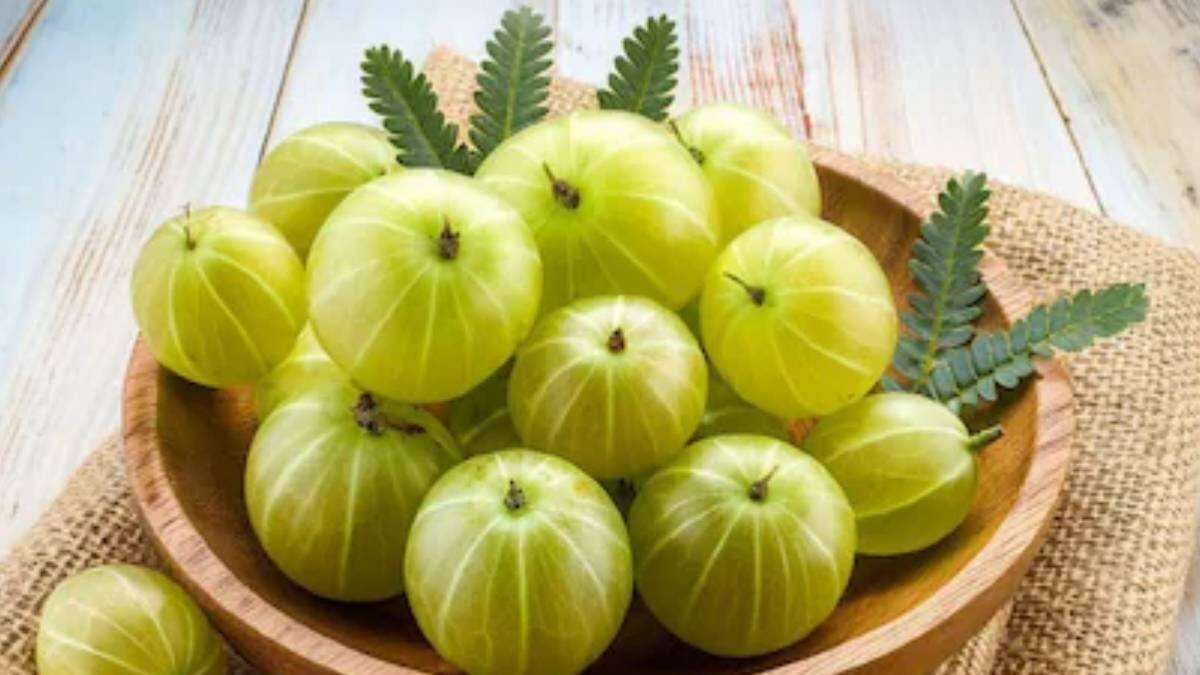 Amla (Amloki) Side Effects: অ্যাসিডিটি, কিডনি স্টোন...আর কিছু রোগে ...