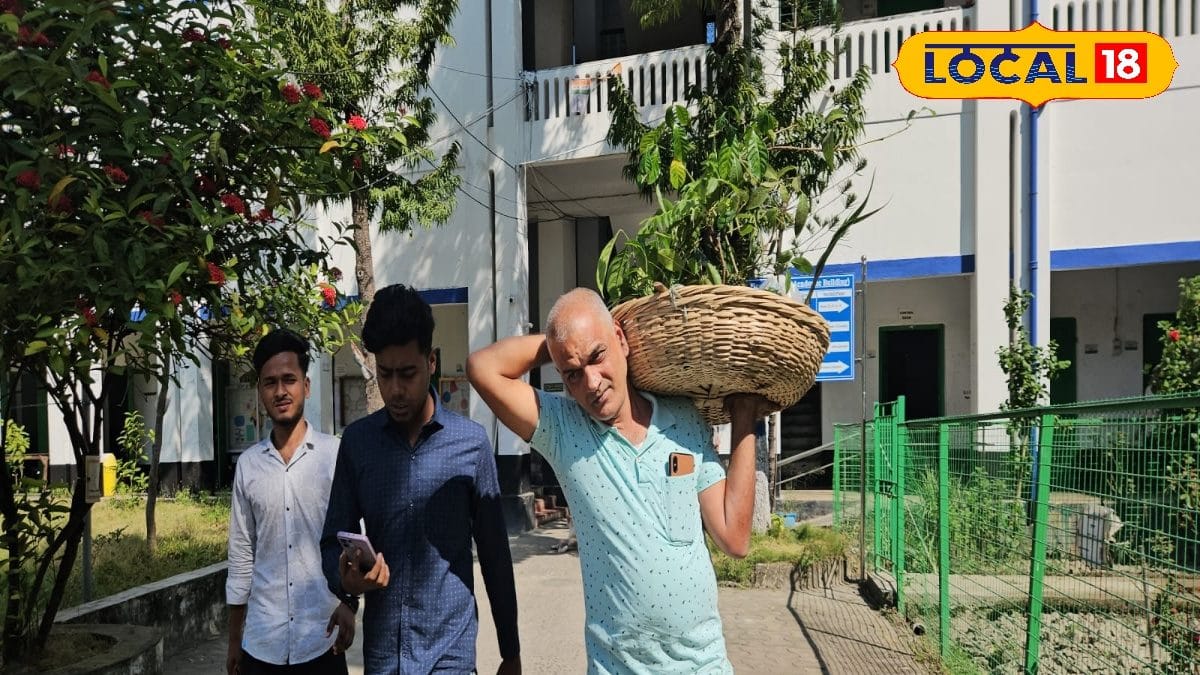 South 24 Parganas Save Trees: আইটি সংস্থার উচ্চপদের চাকরি ছেড়ে পরিবেশ ...