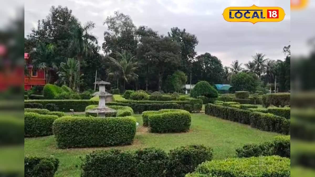 West Medinipur Tourism: কলকাতার কাছেই টয় ট্রেন থেকে এভিয়ারি! হাতের ...