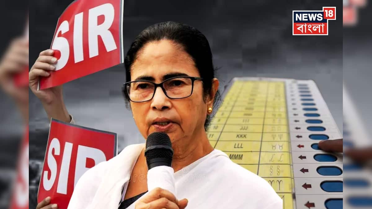 Mamata Banerjee on SIR: ‘আমার গলা কেটে দিতে পারেন, কিন্তু ...