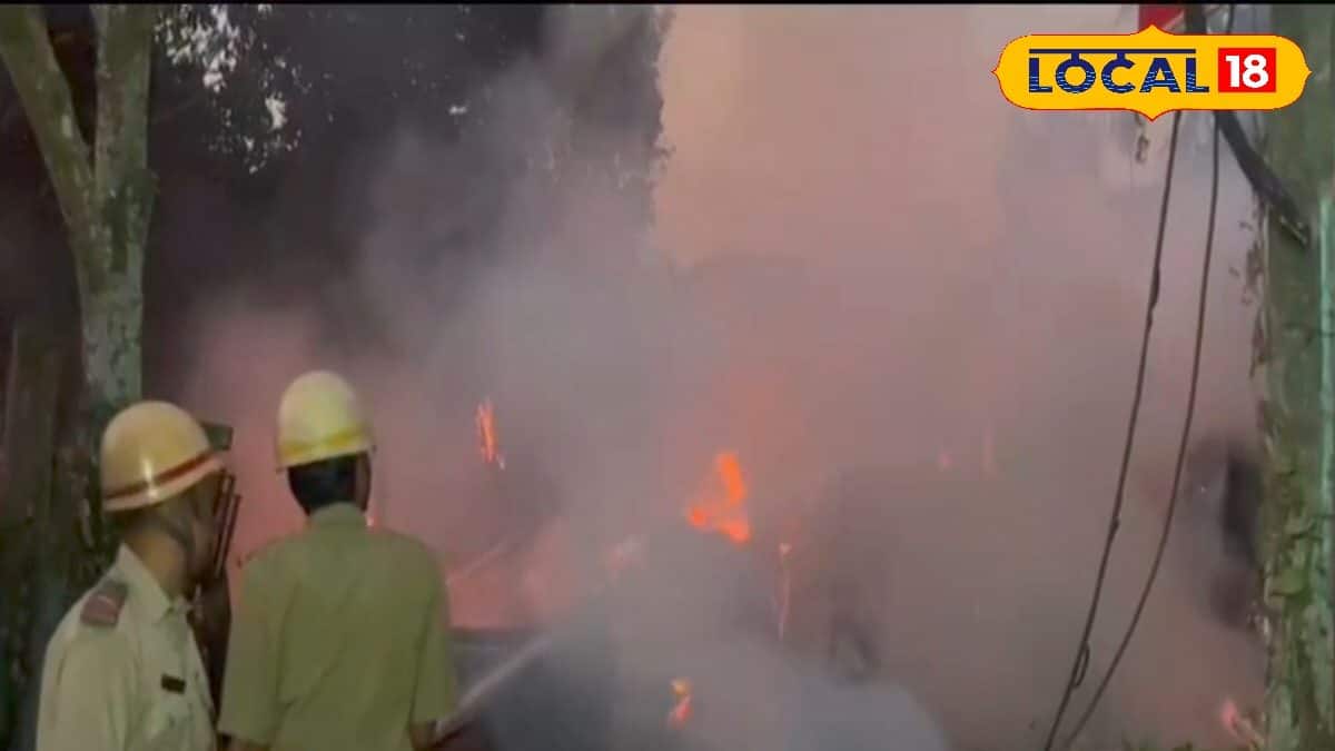 Fire : ভোররাতে বিকট শব্দে ভাঙল ঘুম! গ্যাস সিলিন্ডার ফেটে বারুইপুরে ...