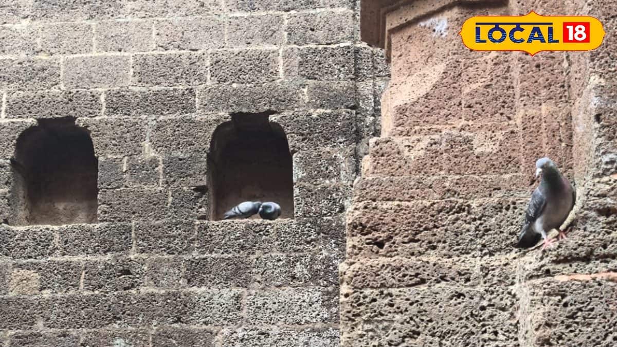 Bishnupur History: 'আমিই সেই মহাচোর...!' বিষ্ণুপুরের ৪৯তম রাজার ...