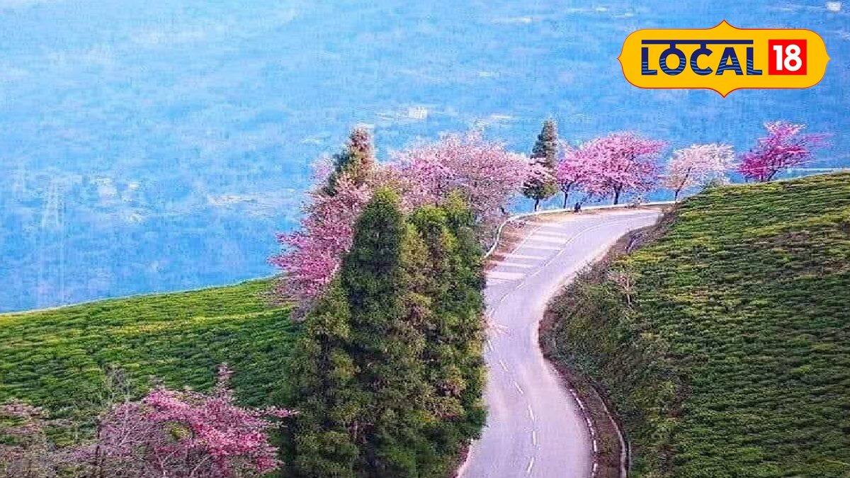 Sikkim Tourism: সিকিম ঘুরতে যাওয়ার আনন্দ বেড়ে যাবে কয়েকগুণ! উদ্বোধন ...