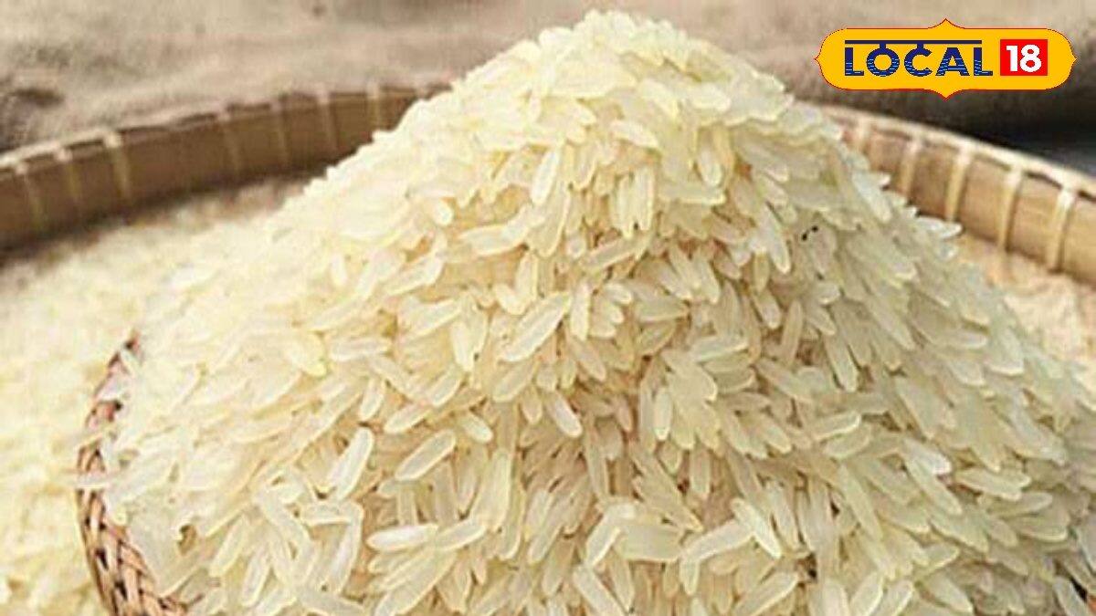 Thin Rice Side Effects: রোজ সরু চালের খাচ্ছেন? অজান্তেই ডেকে আনছেন ...