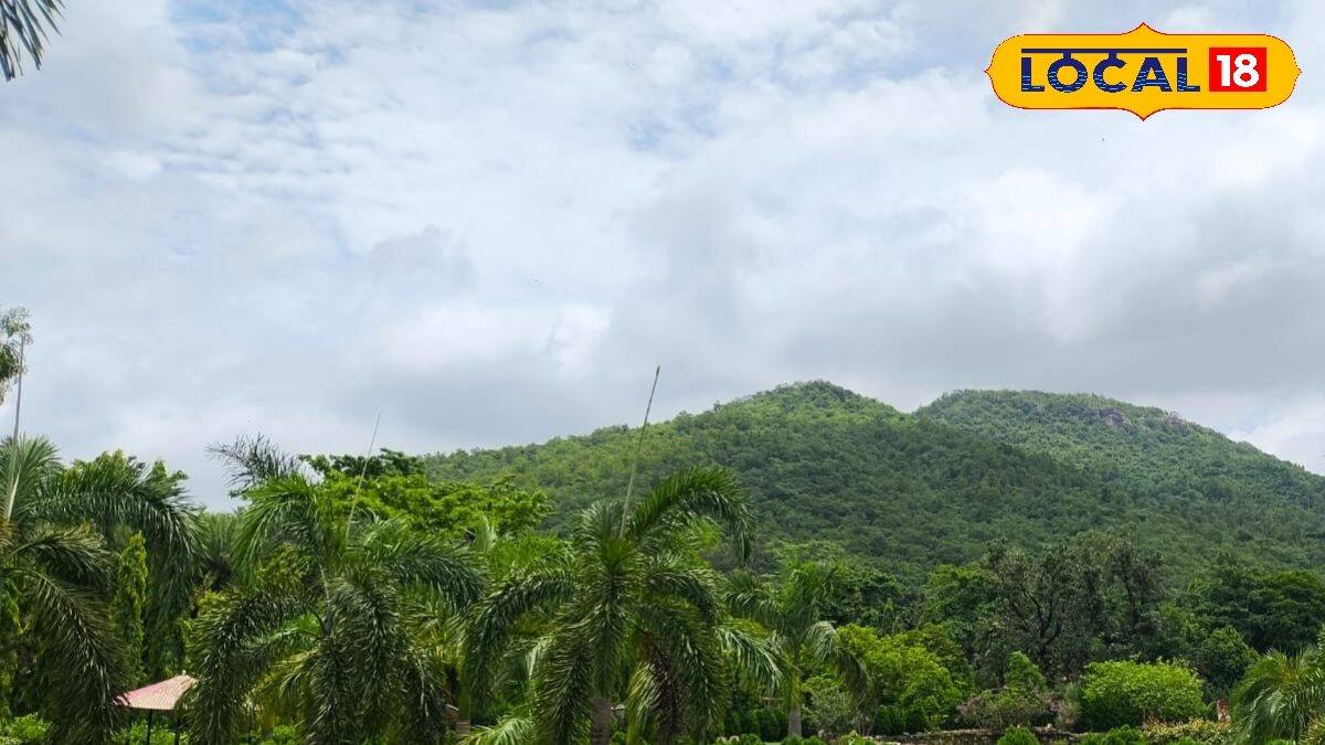 Bankura Susunia Hill: শীতে ঘুরে আসুন শুশুনিয়া পাহাড়! পর্যটকদের জন্য ...