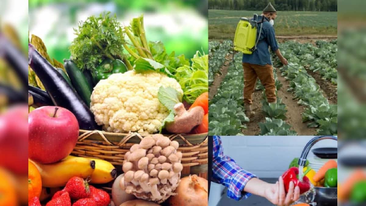 Pesticides in Fruits and Vegetables: 'পেসটিসাইড' দেওয়া ফল ও সবজিতে ...