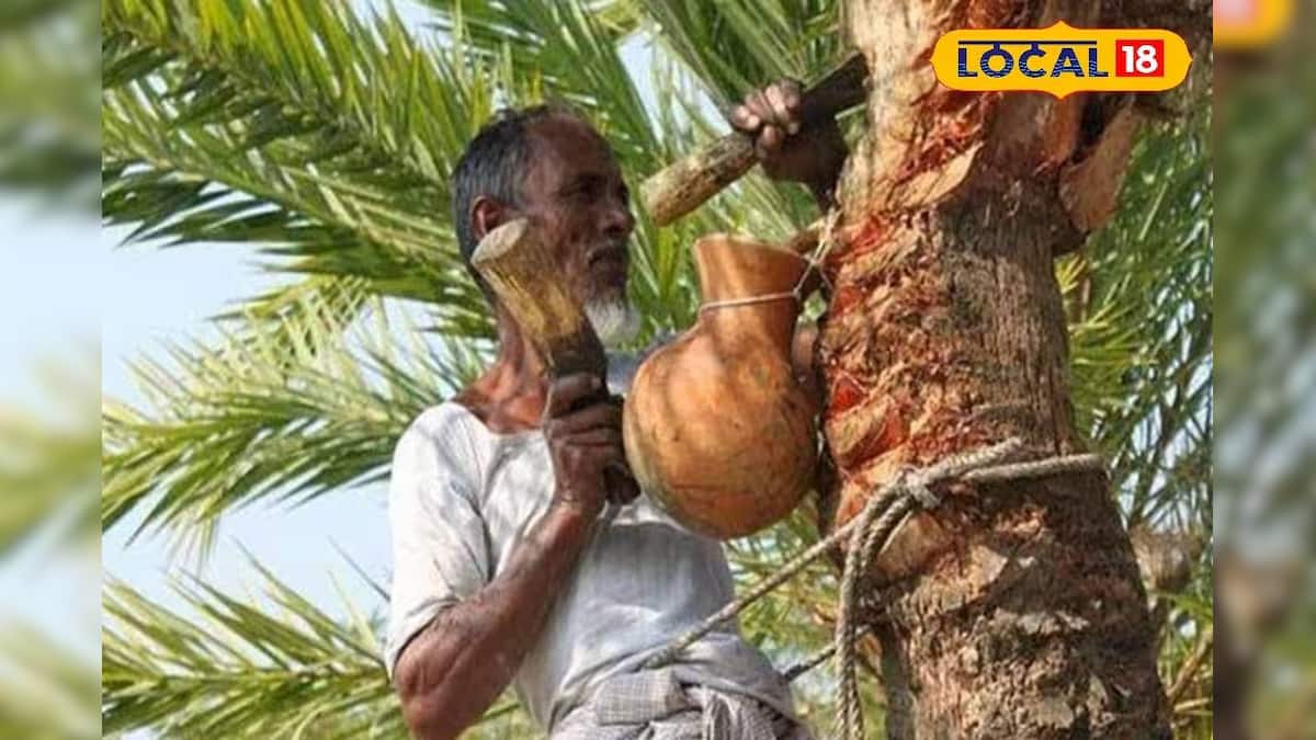 Birbhum News: বাংলায় নিপা ভাইরাস নিয়ে বাড়ছে উদ্বেগ! এই সময় খেজুর ...