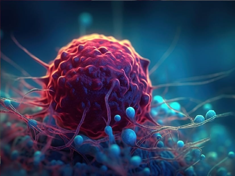 Cervical Cancer তরুণীদের মধ্যে বাড়ছে সার্ভিক্যাল ক্যানসার, কেন হয় ...