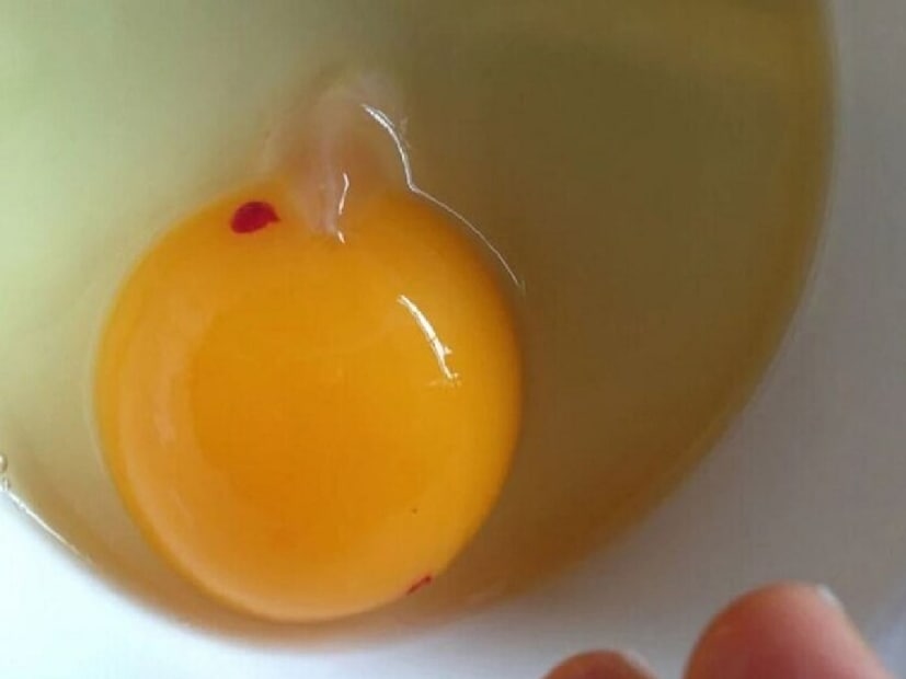 Blood Spot in Egg Yolk ডিমের কুসুমে রক্তের দাগ, খেয়াল করেছেন কখনও? এমন ...