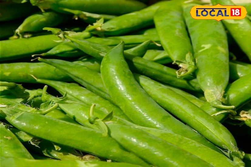 Green Peas Storage Tips: শীতে মটরশুঁটি কিনে বাড়িতেই সংরক্ষণ করুন ...