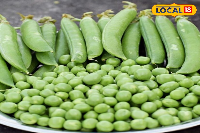 Green Peas Storage Tips: শীতে মটরশুঁটি কিনে বাড়িতেই সংরক্ষণ করুন ...