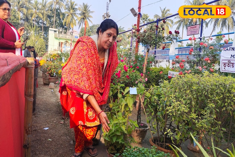 Ajwain Leaves Health Benefits: হজম থেকে হাঁপানি— একাধিক রোগের মহৌষধ এই ...